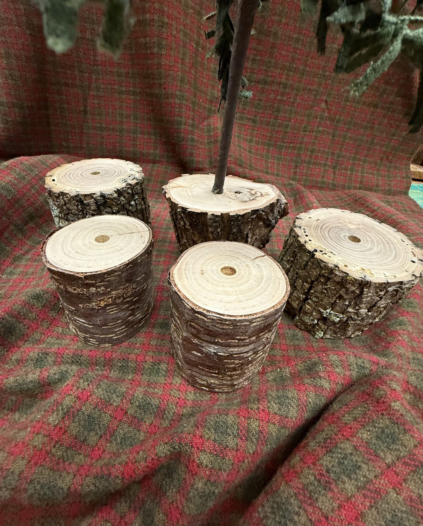 Wooly Trees - The Woolen Needle