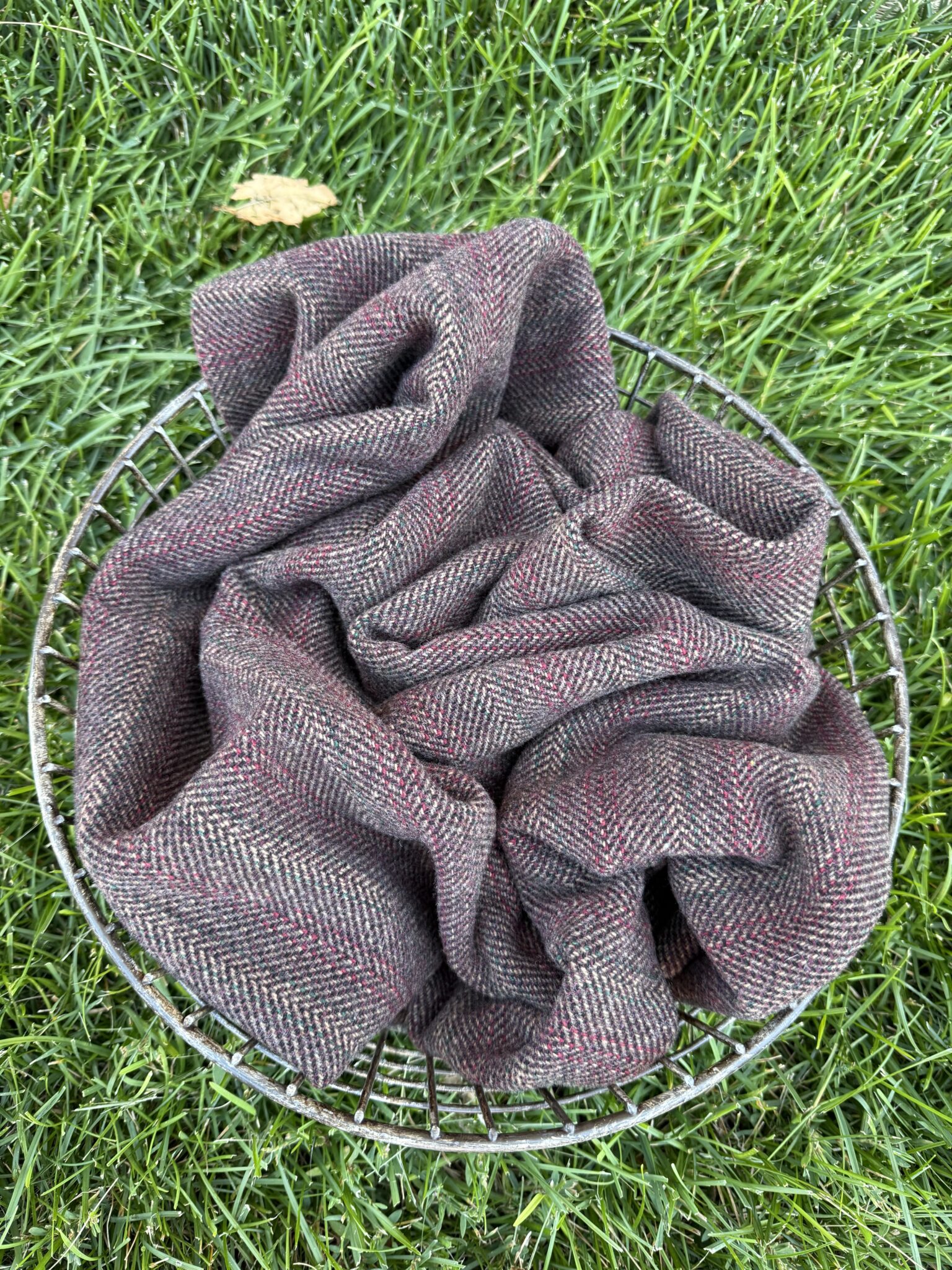Boysenberry - The Woolen Needle